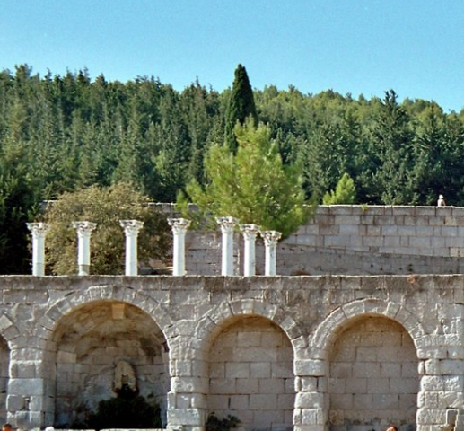 Values in Jungian Training: 2 essays & a dialogue / Yehuda Abramovitch ...